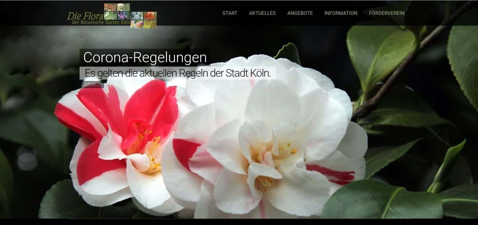 11 Famous Botanical Gardens In Germany