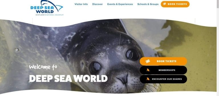 Planning Your Visit To Edinburgh's Deep Sea World Aquarium