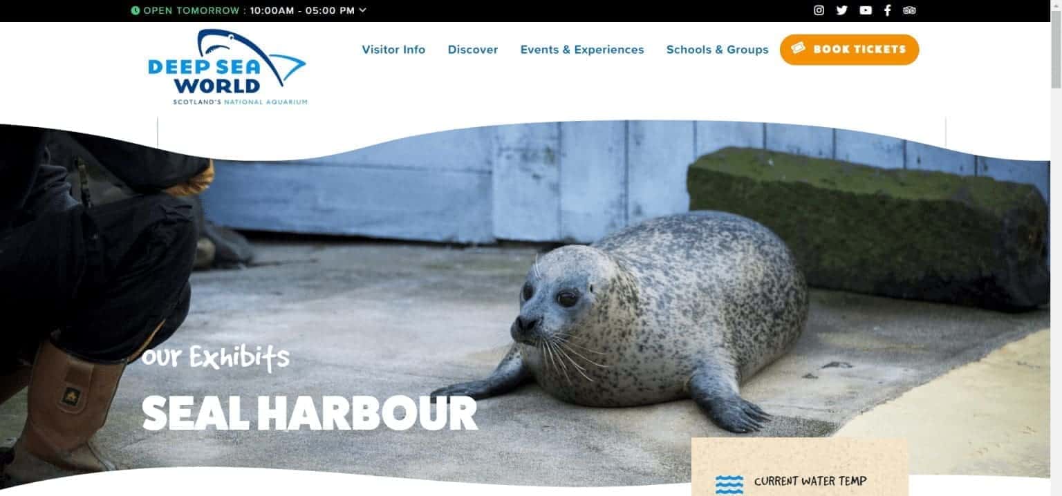 Planning Your Visit To Edinburgh's Deep Sea World Aquarium