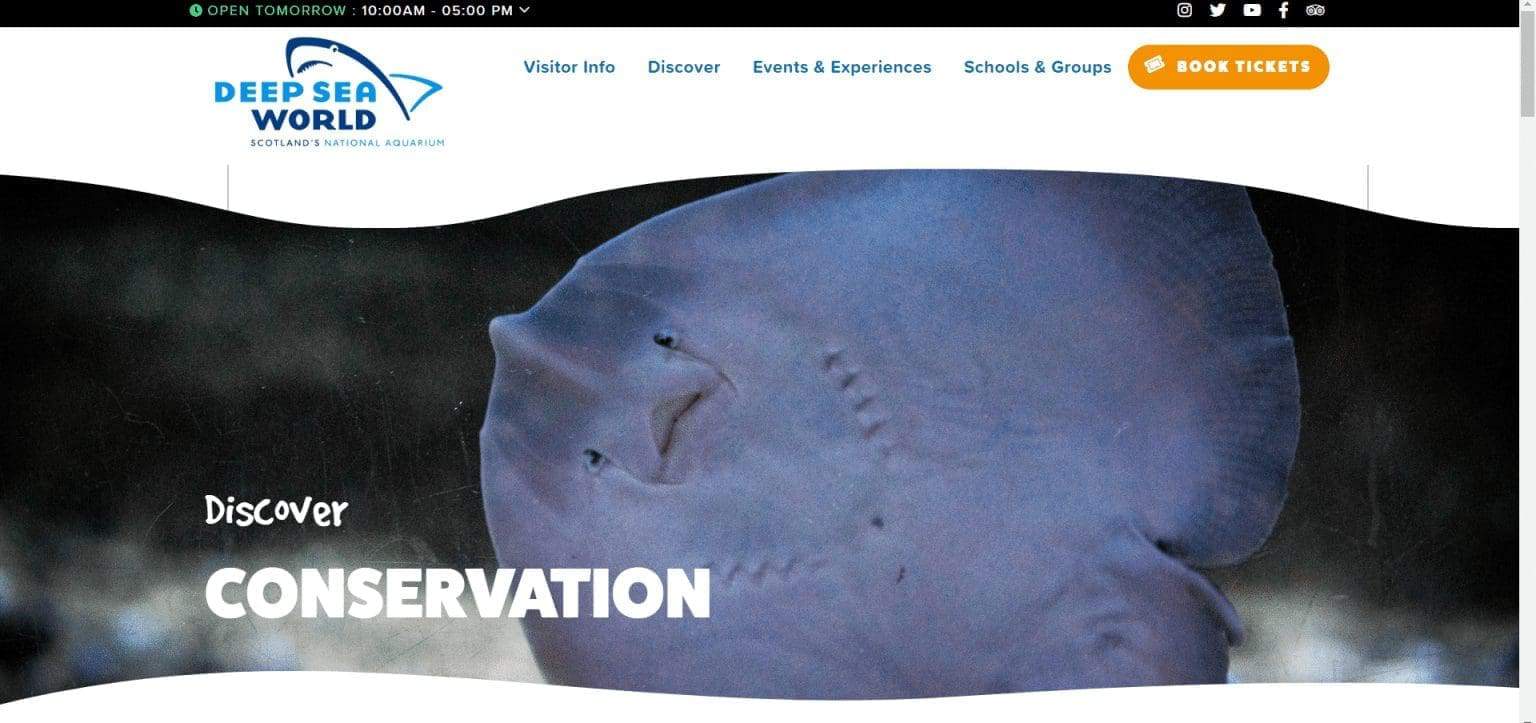Planning Your Visit To Edinburgh's Deep Sea World Aquarium