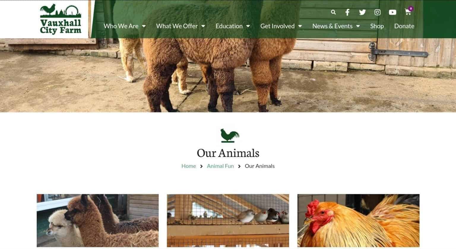 Famous Farm In Vauxhall: A Detailed Guide