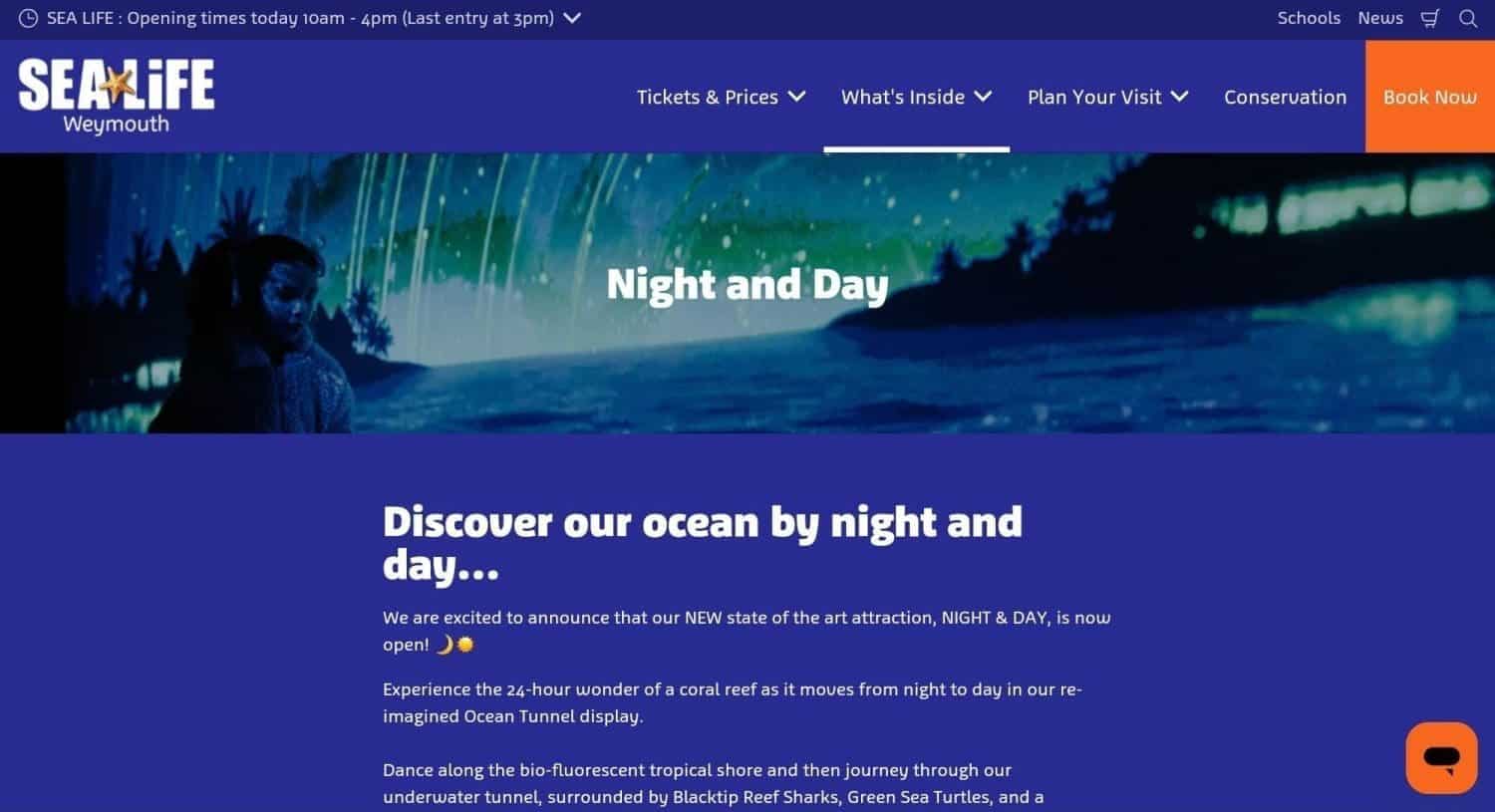 Famous Aquarium In Weymouth: Everything In 5 Minutes