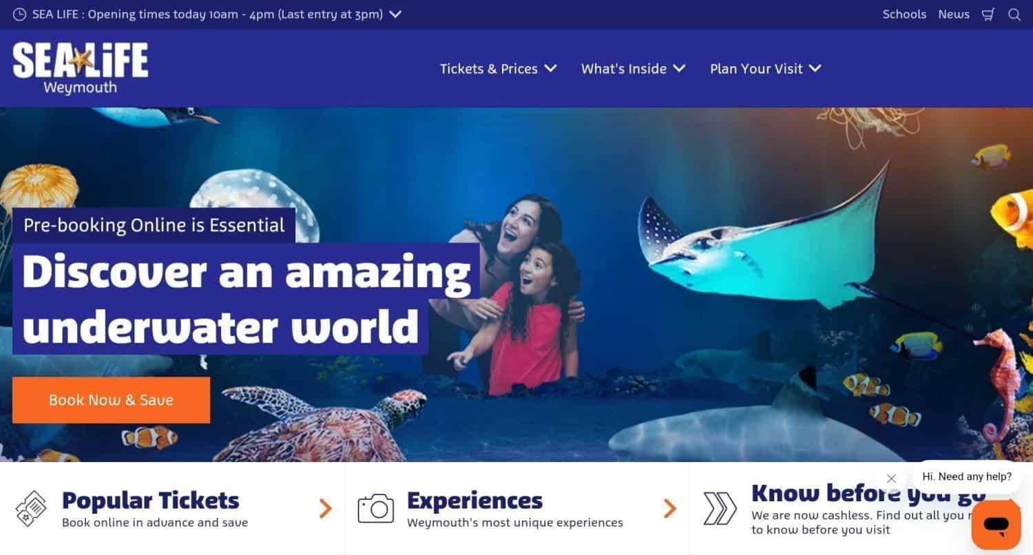 Famous Aquarium In Weymouth: Everything In 5 Minutes