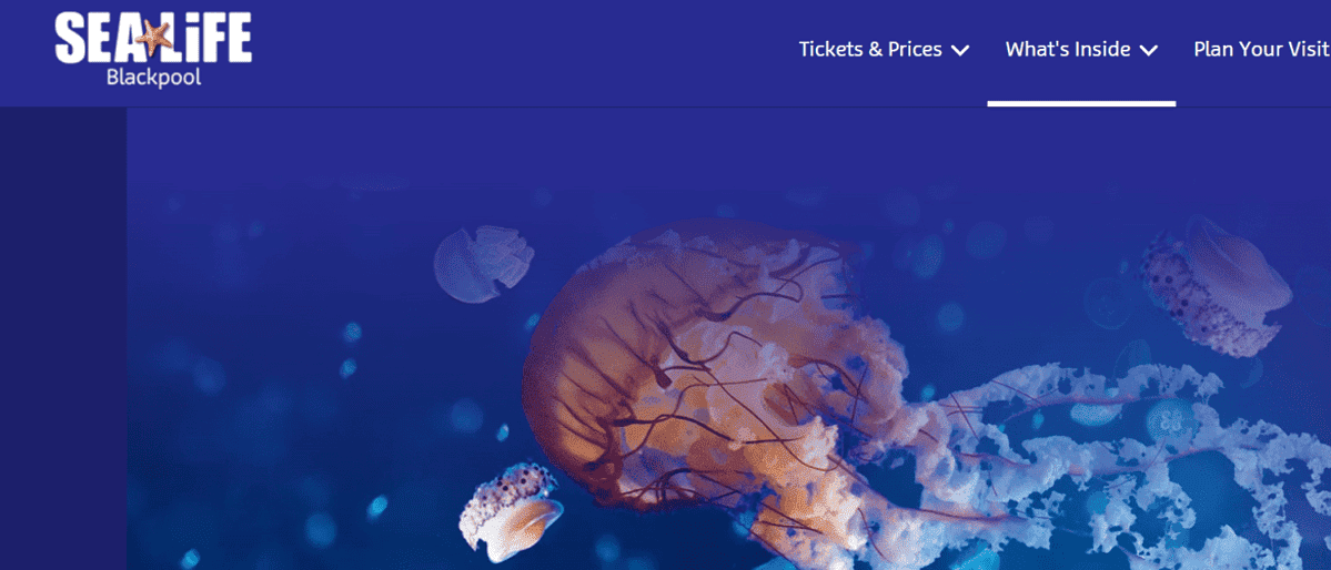 Sea Life Aquarium In Blackpool: 5+ Facts To Know!