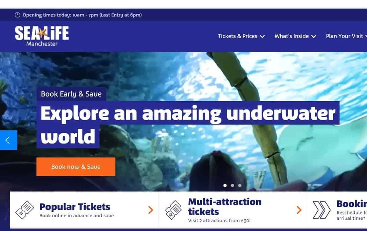 A Guide To Sea Life Aquarium In Manchester