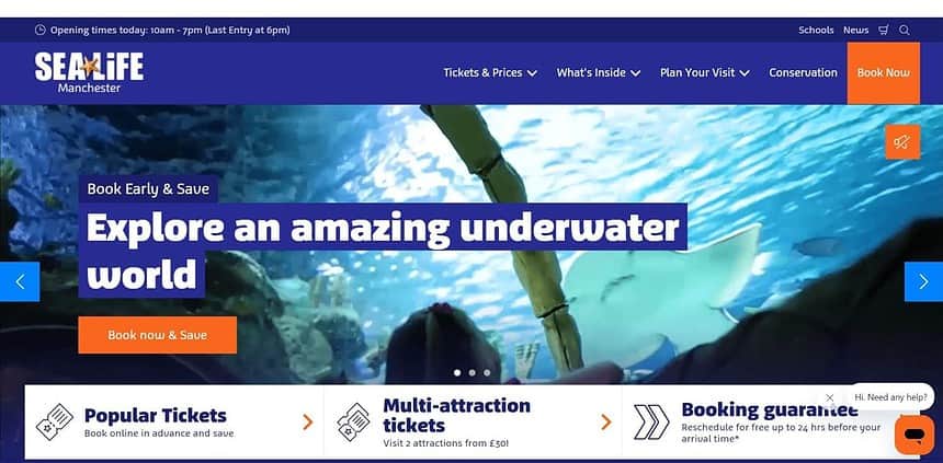 A Guide To Sea Life Aquarium In Manchester