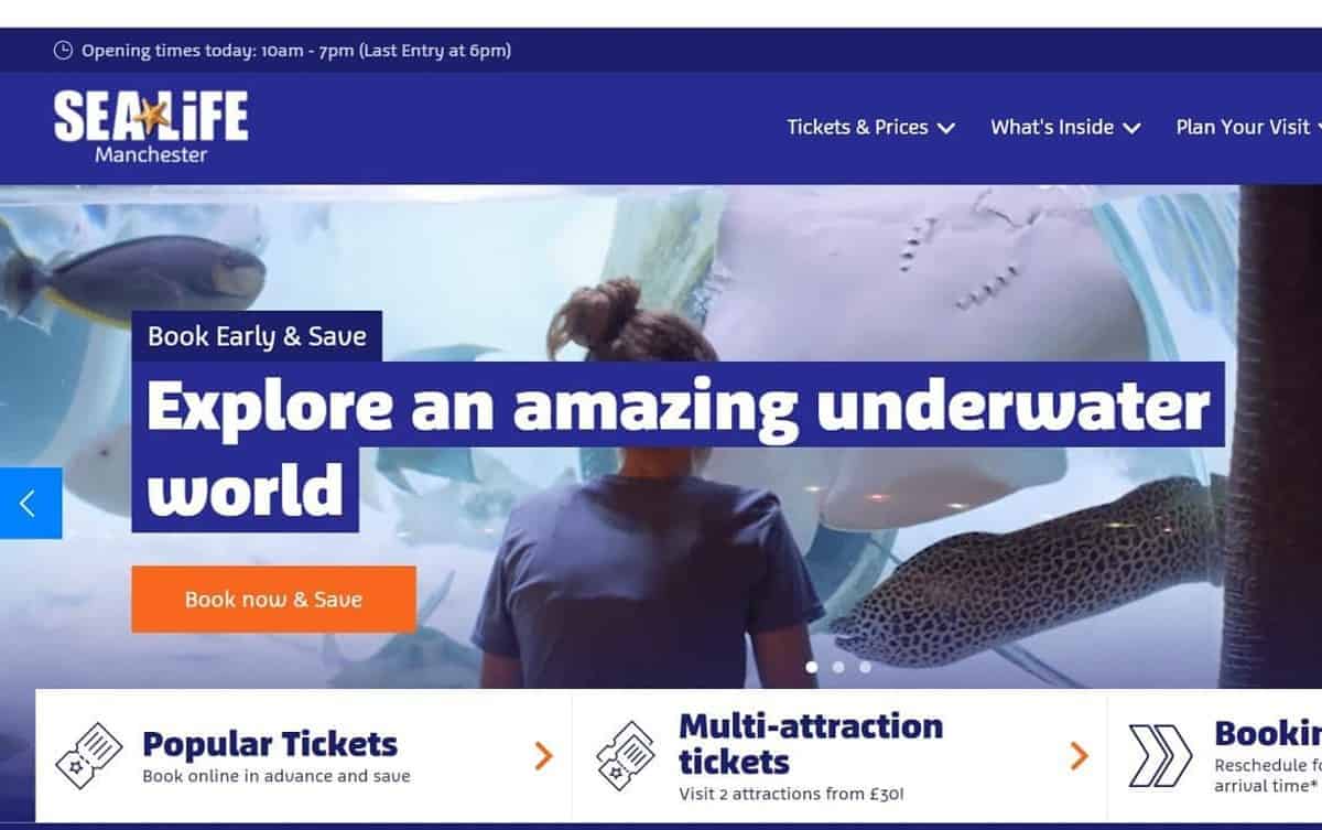 A Guide To Sea Life Aquarium In Manchester