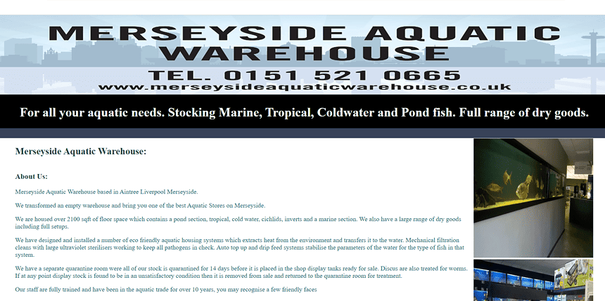 Top 5 Aquariums In Liverpool You Must Visit